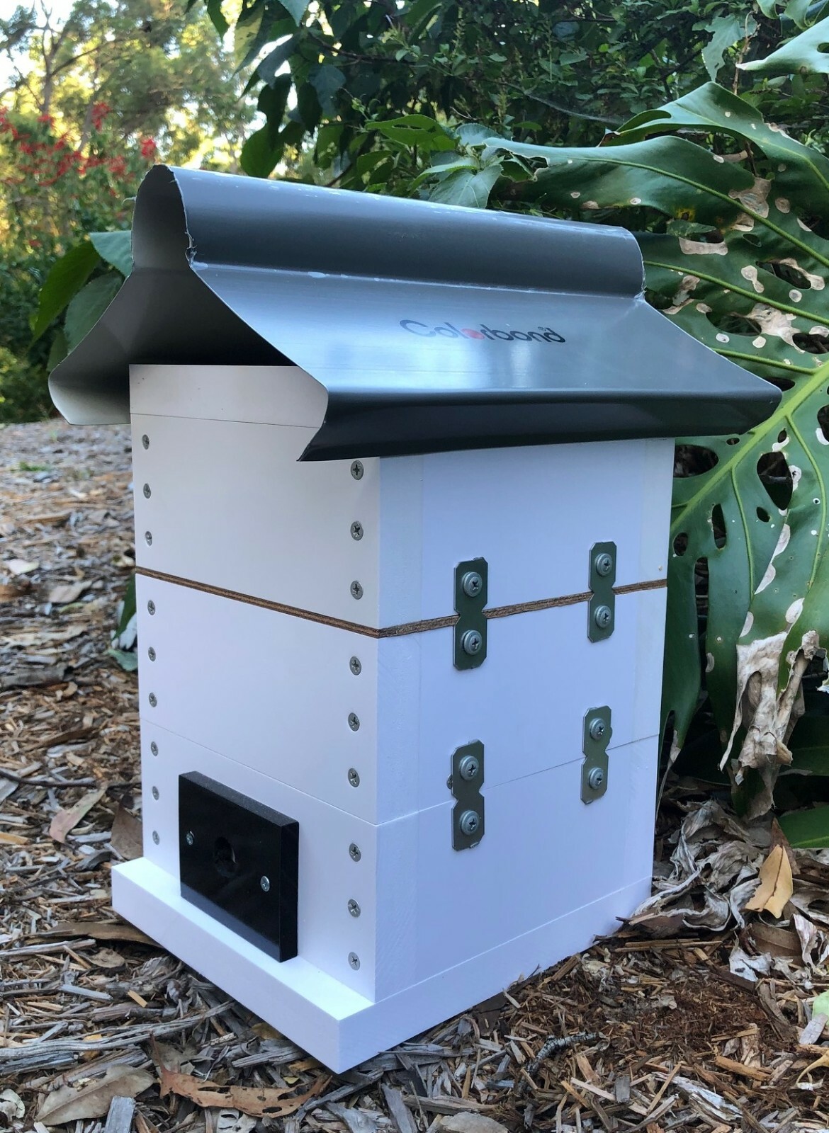 Stingless Native Bee Hive Composite Honey Super Design Roof | OATH Mini ...