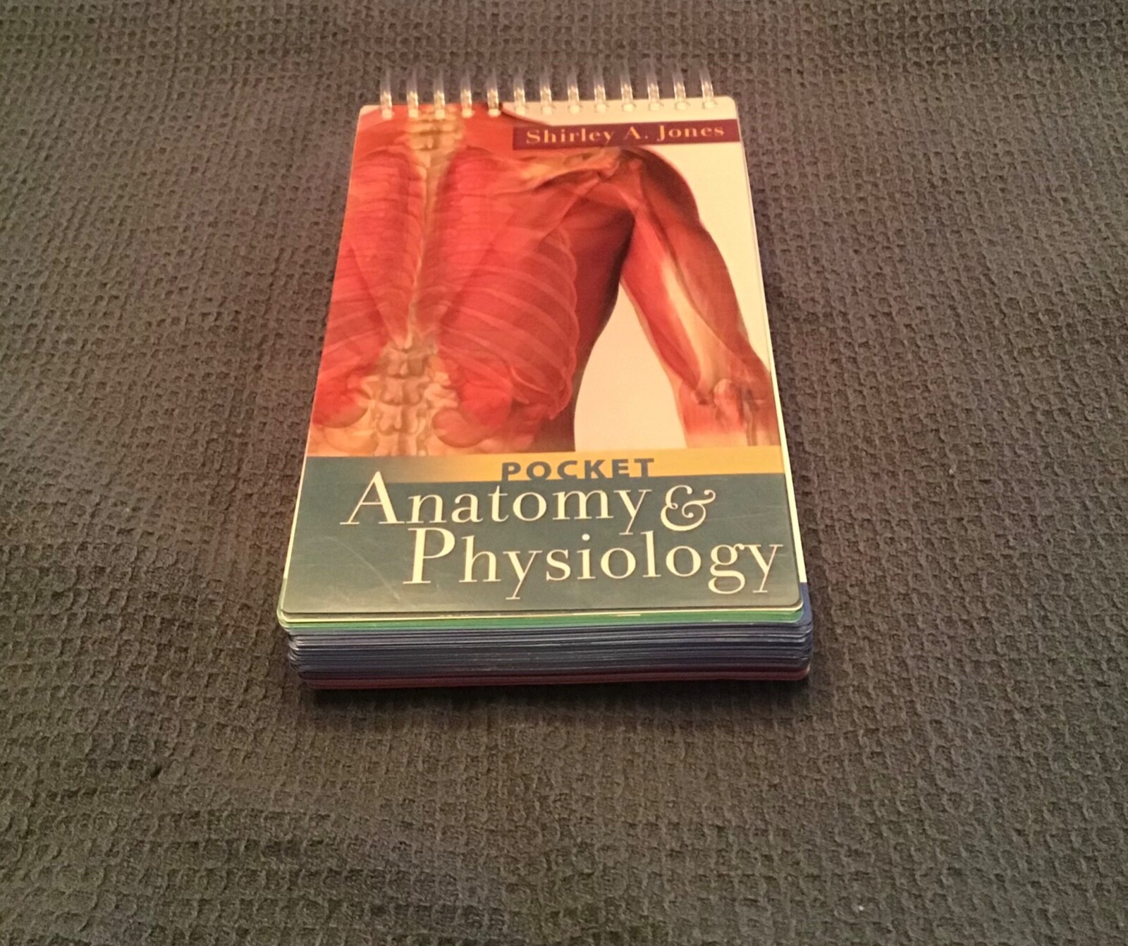 Pocket+Anatomy+and+Physiology+by+Shirley+A.+Jones+%282008%2C+Spiral%2C ...