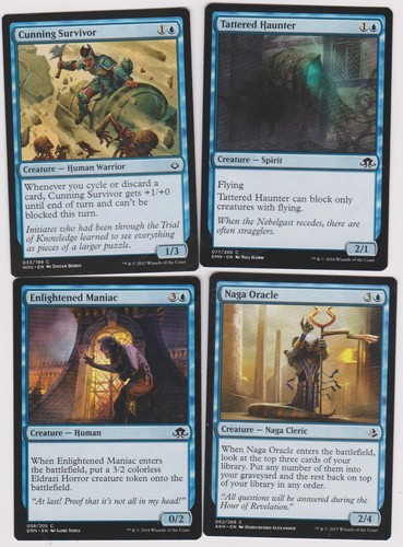 HUMAN WARRIOR BLUE DECK 40X CARDS MTG MAGIC N-MINT A-19 | eBay