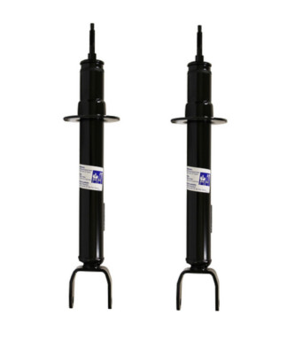 2 Monroe Left+Right Front Struts Shocks Absorbers Inserts Dampers for ...