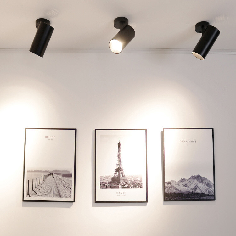 LED COB Ceiling Wall-Back Light Adjustable Lamp Picture Focus Spotlight ...