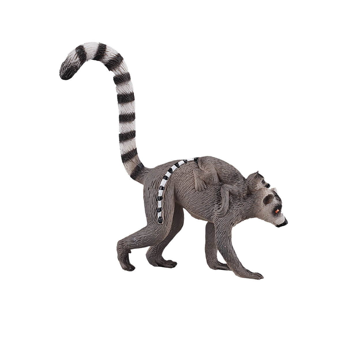 Things Money Lemur