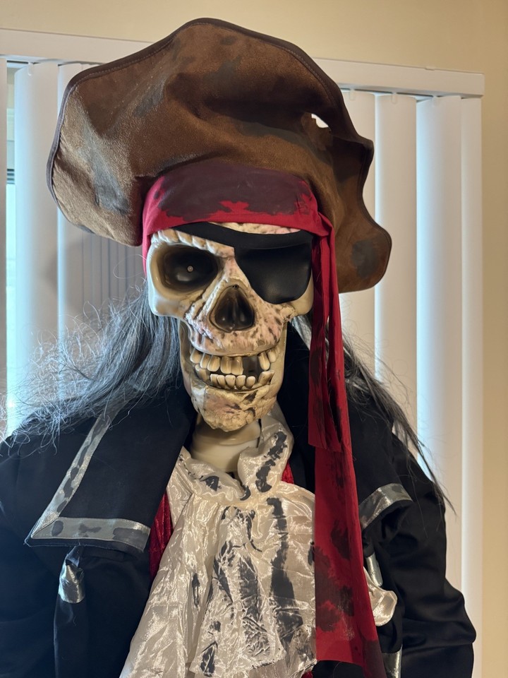 Gemmy Halloween Animated Dead Eye Drake Pirate 2009 Restored Fully ...