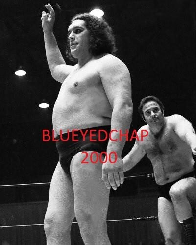 ANDRE THE GIANT & MARK LEWIN WRESTLER 8 X 10 WRESTLING PHOTO NWA | eBay