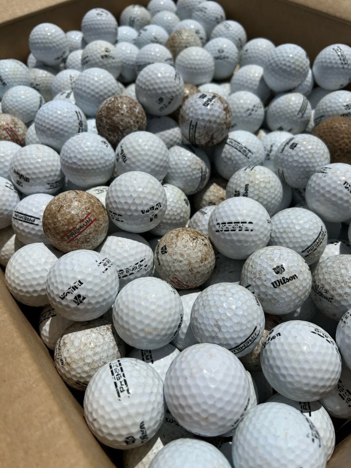 400 D Grade Used Range Ball Hit Away Golf Balls Practice Shag FREE ...