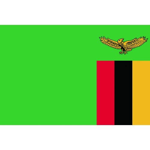 Tokyo Flag No. 2 90 x 135 cm Zambia 426304from JP | eBay