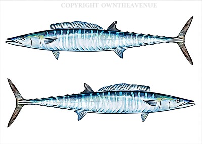 Wahoo Fishing Fish RV Boat Car Truck Camper Trailer Vinyl Sticker ...