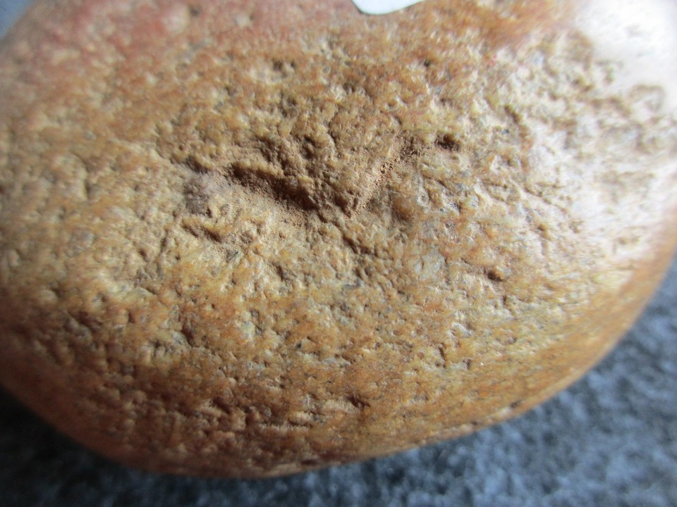 NATIVE AMERICAN DISCOIDAL, AMERICAN INDIAN GAME STONE WITH COA, #DAY ...