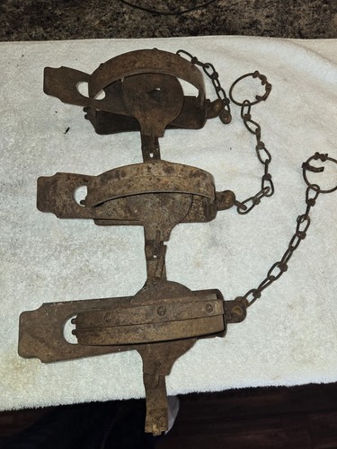 (3) Victor 3 Jump Traps With Teeth | eBay