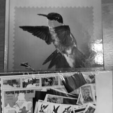 Baby Boomer Collectibles | eBay Stores