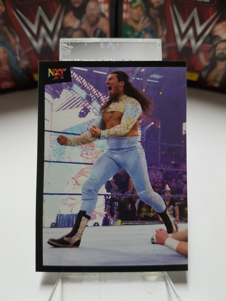 2022 Panini WWE Stickers (208-414) COMPLETE YOUR SET-YOU PICK FROM LIST ...