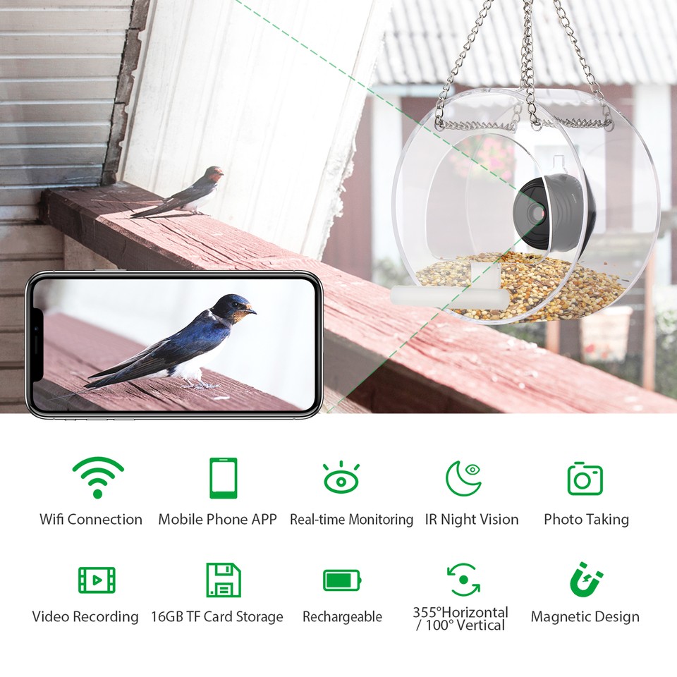 Clear Window Bird Feeder with Camera Suction Cup, Transparent N7Y1 | eBay