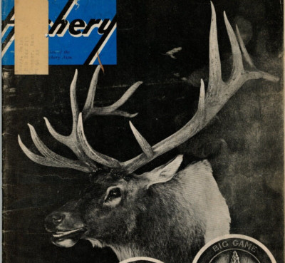 January 1964 Archery Magazine Bow Arrow Deer Antlers Rack Hunting | eBay