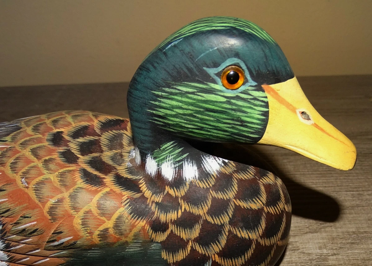 Mallard Tail Feather