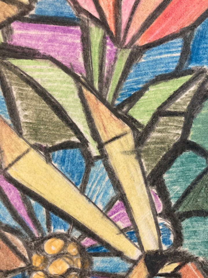 Very Beautiful Drawing Flower Scissors Color Pencil Plant Paper 1950 ...