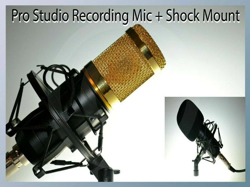 Gold Recording Studio Microphone