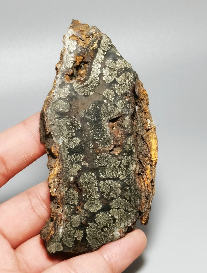 New Find Beauty Pyrite Flower Grow With Agate Freeform Reiki Healing | eBay