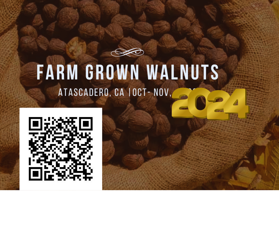 2 lb California Walnuts in Shell Harvested November 2024 | eBay