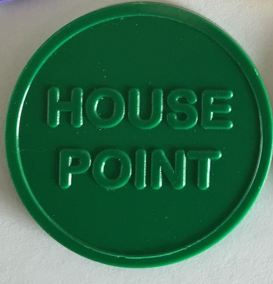 HOUSE POINT TOKENS PLASTIC HOME, SCHOOL, REWARD - BAG OF 100 - 5 ...