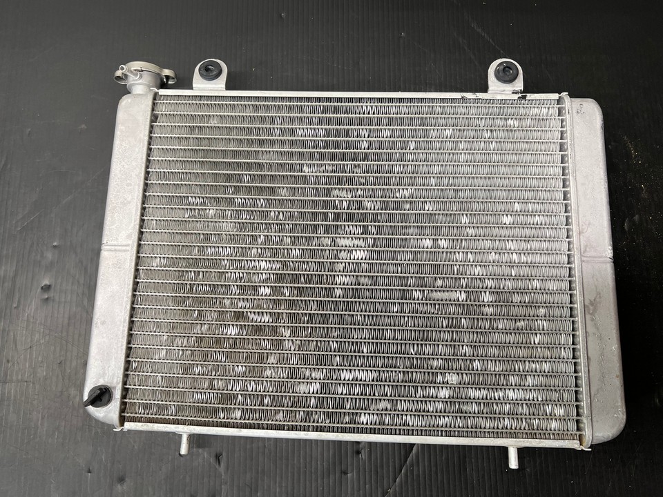 OEM Polaris Ranger Radiator Assembly 400 500 800 & Diesel 1240528 ...