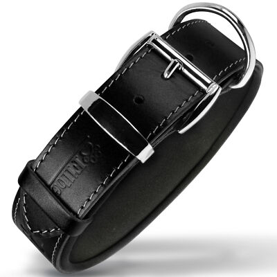 Filbert Rolled Leather Dog Collar Embossed Pawprint Leather Dog Collars ...