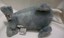 Ganz Webkinz 9" Gray Walrus Stuffed Animal Plush Toy No Code | eBay
