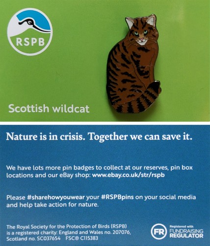 RSPB Pin Badge Scottish Wild Cat NIIC P03127 | eBay