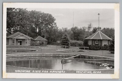 Valentine Nebraska NE State Fish Hatchery Real Photo Postcard RPPC ...