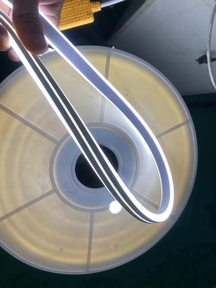 65ft Double-side Neon LED Light Strip 12V 24V Rope Tube Waterproof ...