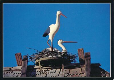 Rooftop Storks in the Danish Village of Solvang CA, California - Birds ...