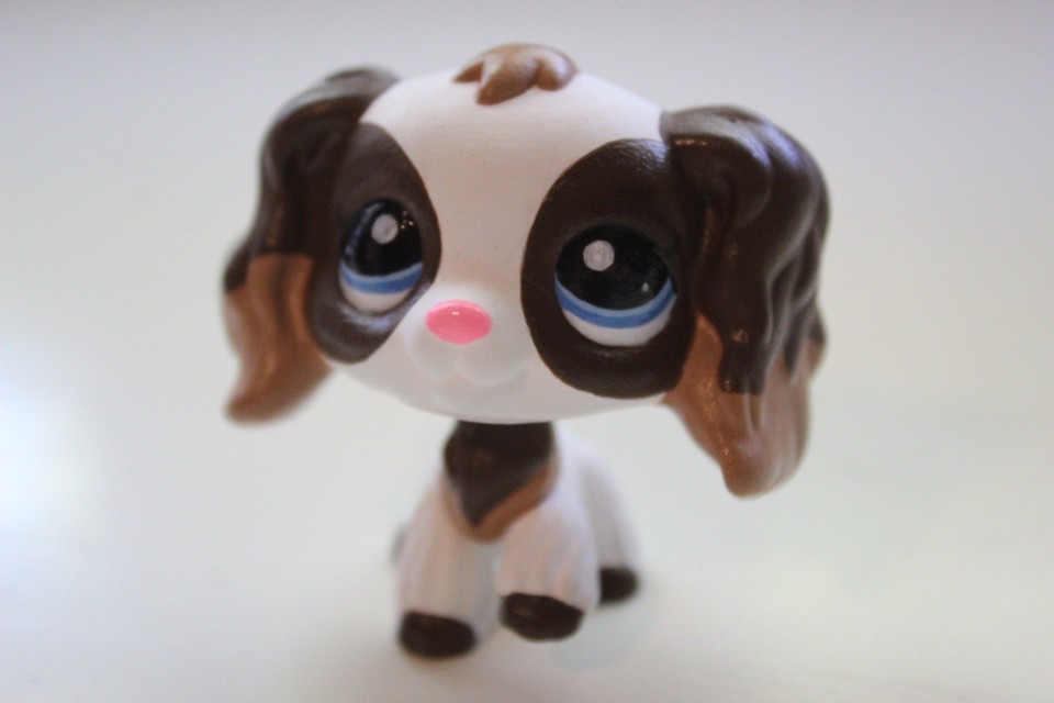 LPS Littlest Pet Shop CUSTOM OOAK 2254 Cocker Spaniel | eBay