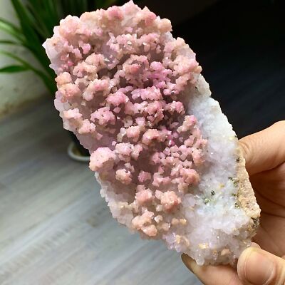386G Natural coarse red corundum and phlogo mineral powder ruby raw ...