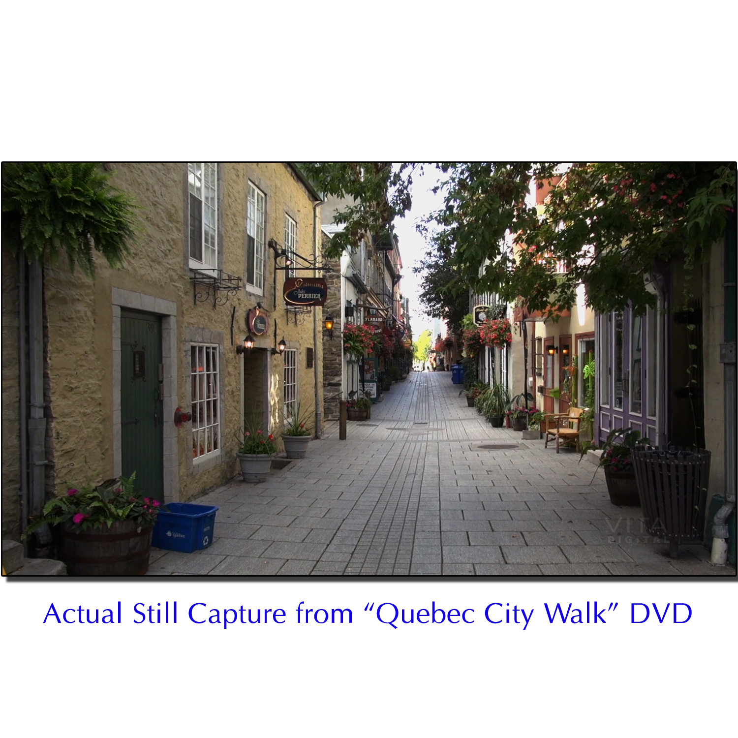 Scenic Virtual Travel Vita DVDs Quebec City Walking Tour Treadmill DVD ...