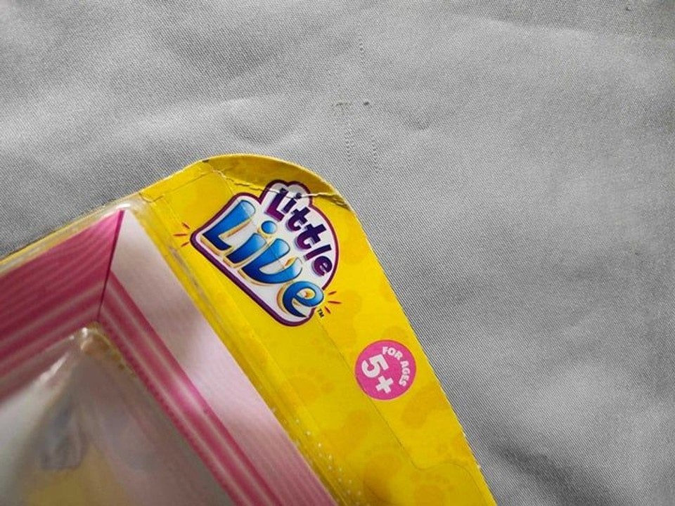 Bizzy bubs Toy Crawl Talk Baby Doll New in Box Little Live Poppy | eBay