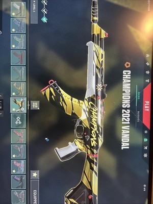 Valorant Champions 2021 Vandal Radiant Account With Imm Right now $8000 ...