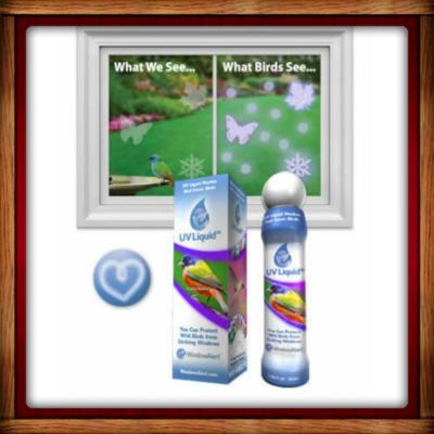 WINDOW ALERT UV LIQUID NEW 1 oz BOTTLE SAVE WILD BIRDS PREVENT WINDOW STRIKES | eBay