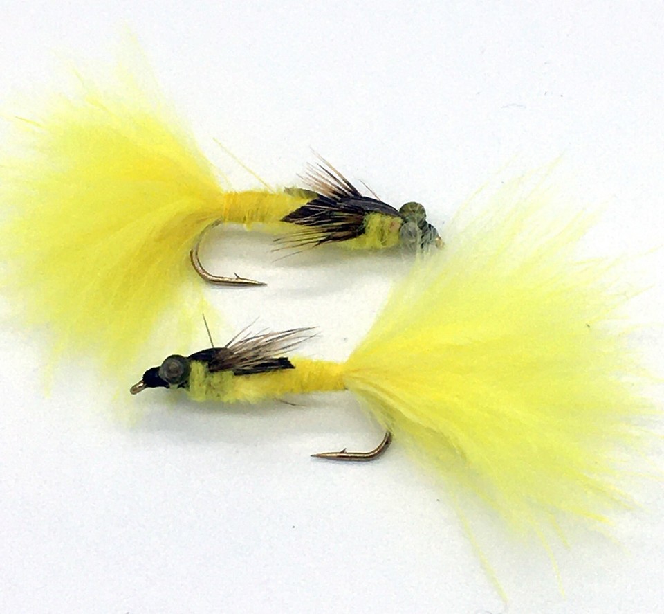Fly Fishing Trout Flies DAMSEL NYMPH YELLOW 8 pack size 14 #94 | eBay