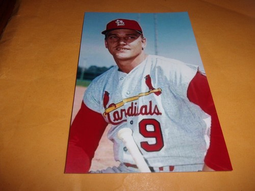 ROGER MARIS(St.Louis Cardinals) 4" x 6" Glossy Color Photo. | eBay