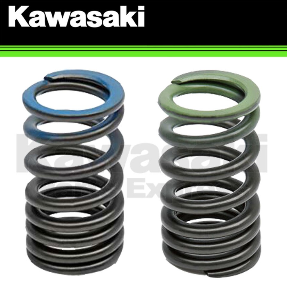 GENUINE KAWASAKI ZX-10R ZX-10RR RACING INTAKE & EXHAUST VALVE SPRING ...