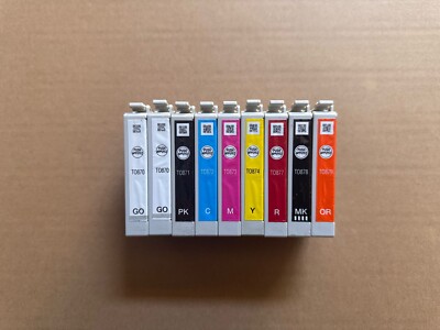 Genuine EPSON T087 87 Ink Cartridges 9-pack For Stylus Photo R1900 | eBay