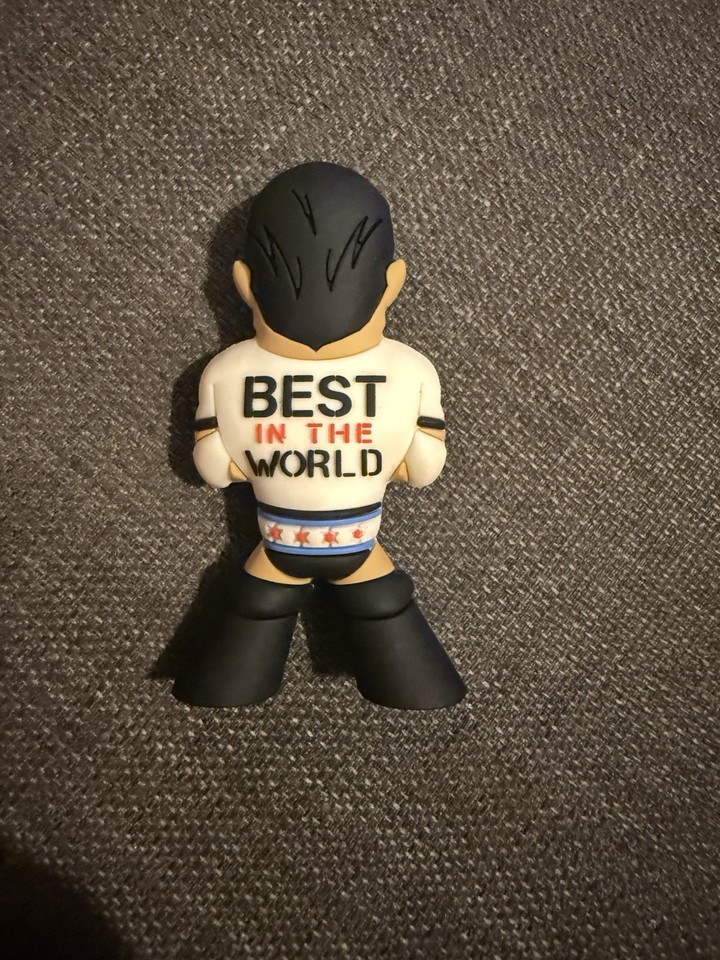 CM Punk ( Original ) Micro Brawlers Pro Wrestling Crate Exclusive ...