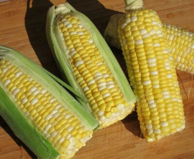 Sweet Corn (bi colour super sweet) - 15 Seeds -F1 Hybrid Variety ...