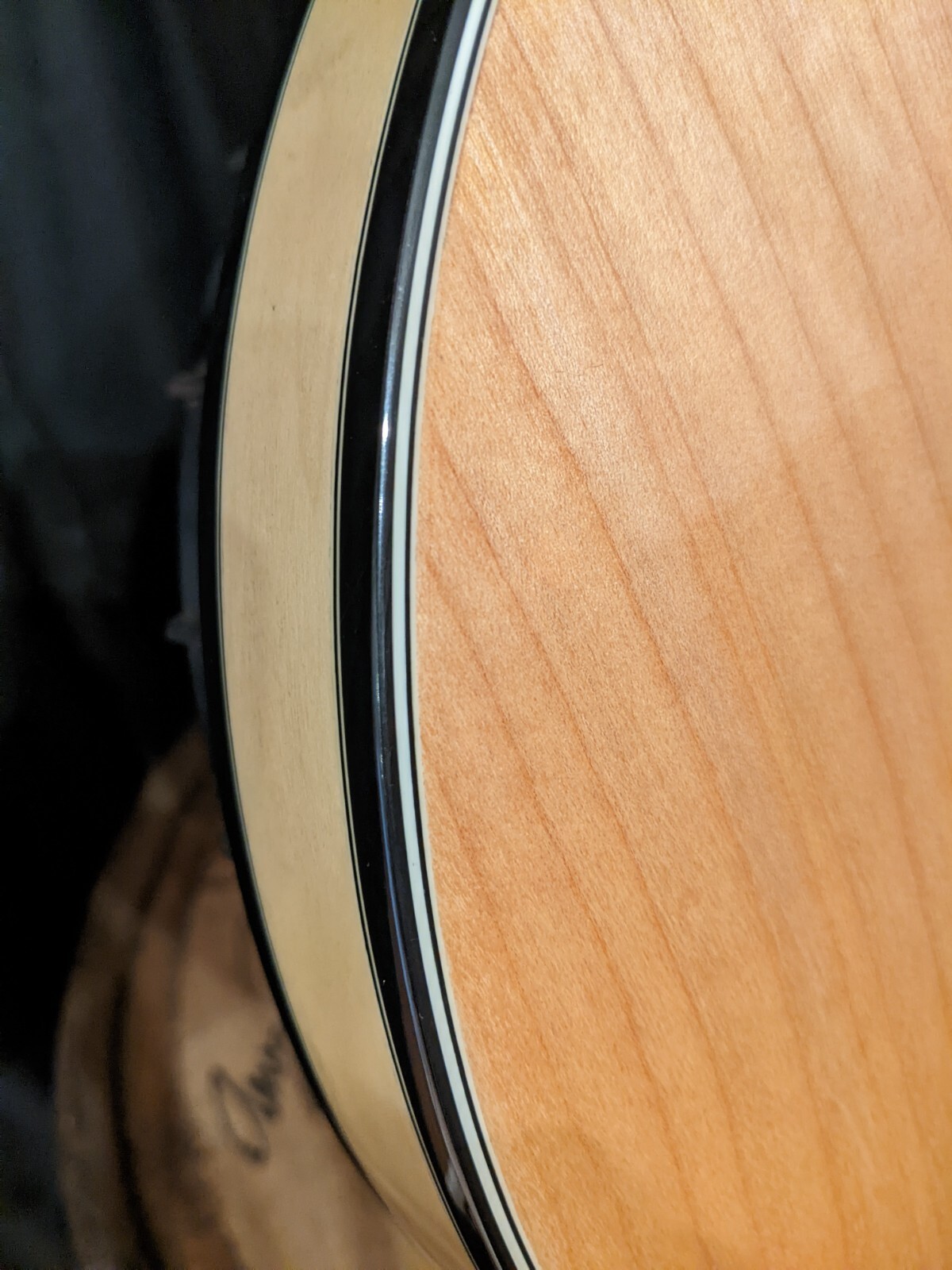 Gold Tone GT-500 Electric Banjitar 6 string Banjo Guitar with Hardshell ...