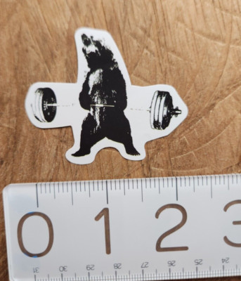 Fitness Sticker Weight lifting Sticker Gym Exercise CrossFit Body ...