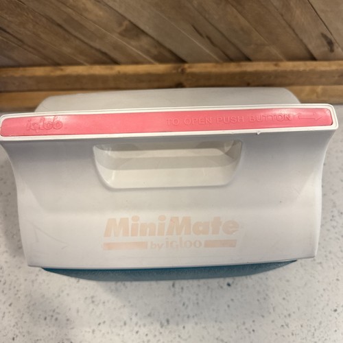 Retro Mini Mate Igloo Teal & Neon Pink Small Cooler | eBay