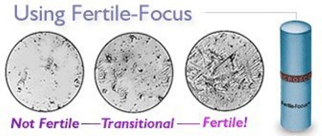 Fairhaven Health Fertile-focus 1 Personal Ovulation Microscope for sale ...