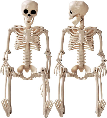 2 Pack 16" Halloween Skeleton Decorations Full Body Posable Skeletons ...