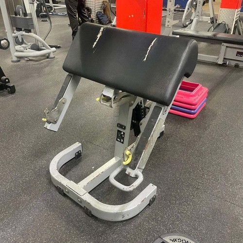 Technogym Preacher Curl Scott Curl Pure Strength Commercial Gym ...