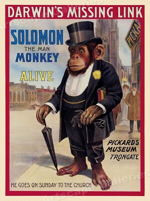 Man Monkey! Darwin's Missing Link! 1908 London Circus Poster - 18x24 | eBay