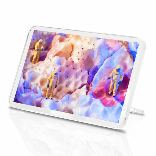 1 x Cool Alien Pomegranate Peel Fruit Eat Classic Fridge Magnet Kitchen ...